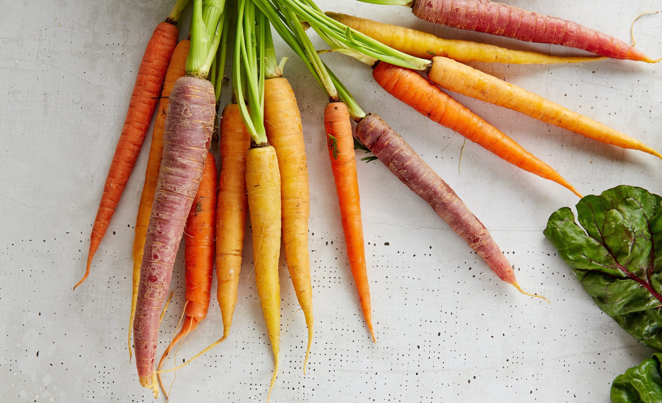 5 Easy Vegetables to Grow at Home With Your Kids - parentztalk.com