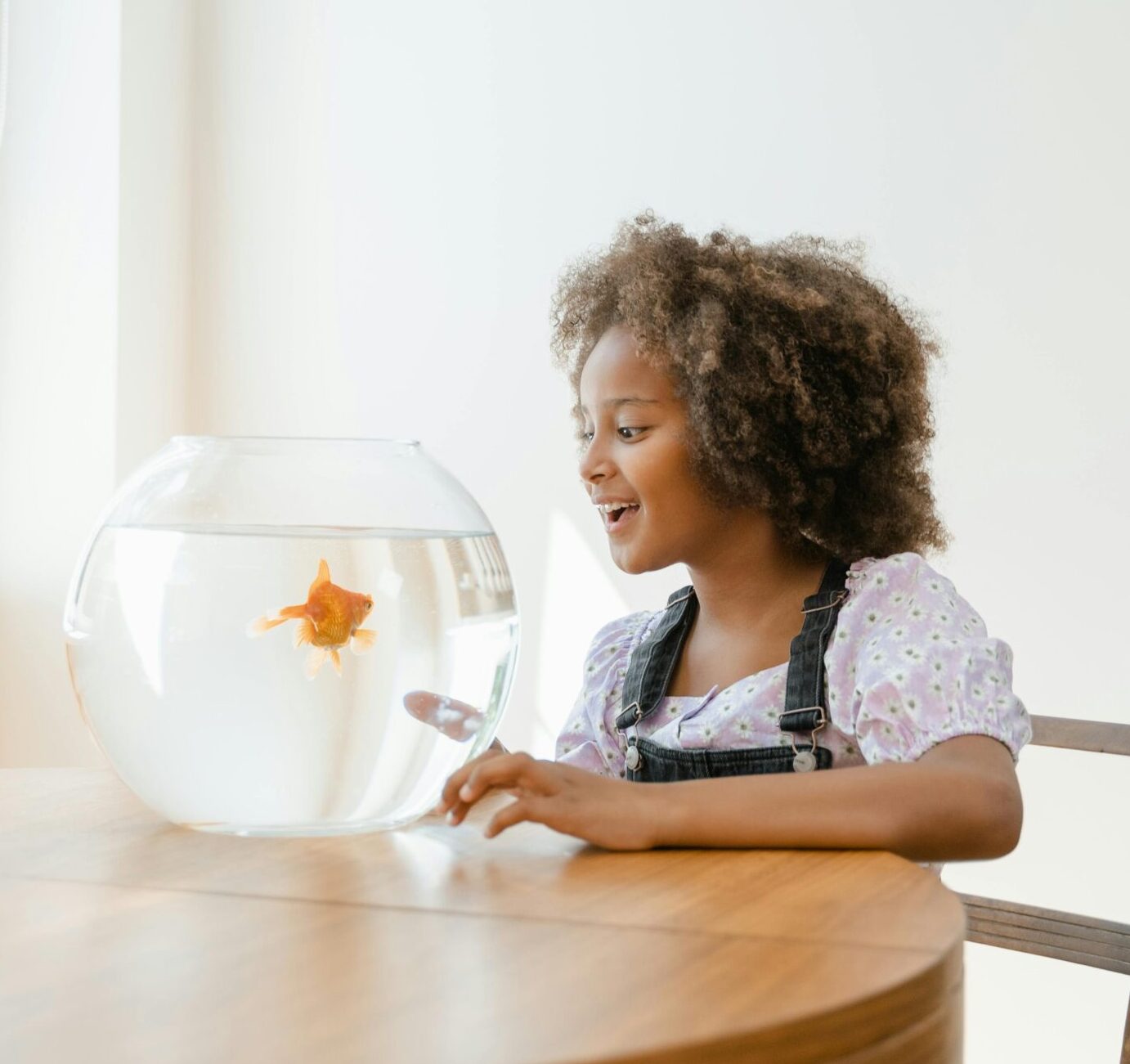 Why Fish are a Good Starting Pet for Your Kids - parentztalk.com