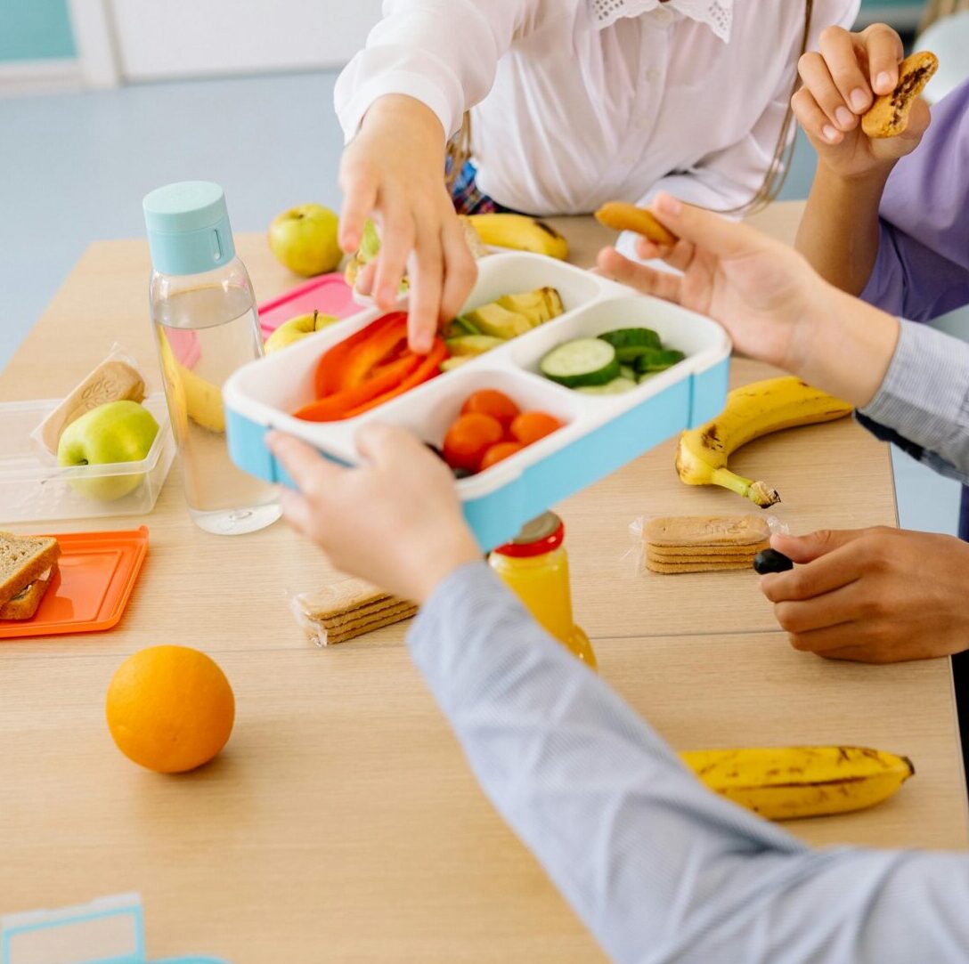 Fun School Lunch Ideas for Your Kids - parentztalk.com