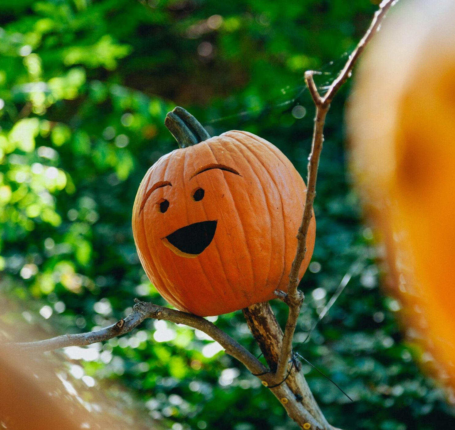 Best Tips for Safe Pumpkin Carving with Your Kids - parentztalk.com